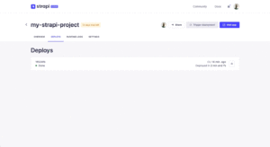 Strapi pour les débutants : guide pratique et conseils